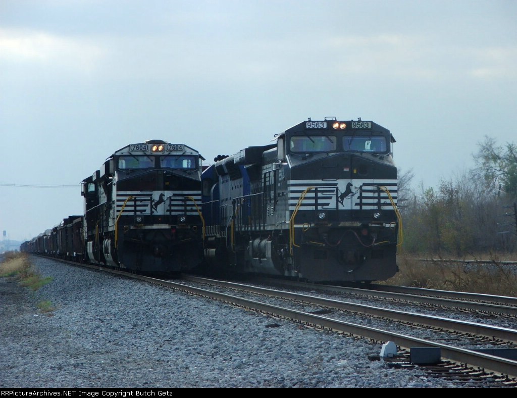 NS 9563 & NS 7604